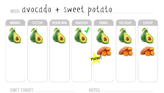 The 4 Four Day Wait Rule - Using the 4 Day Wait Rule, to Test for Baby ...