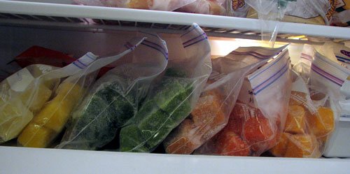How to Freeze Baby Food- Everything You Need to Know