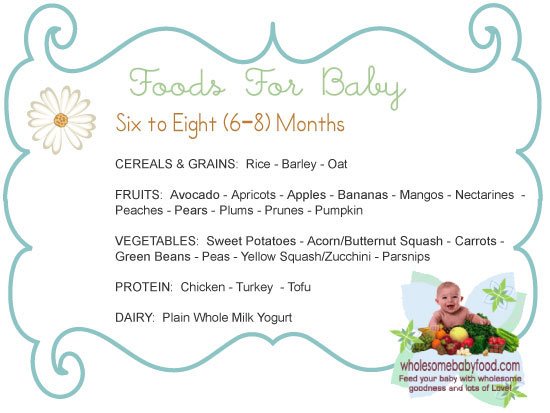 Introducing Solids to Your 6 month to 8 month old Baby - Learn about ...