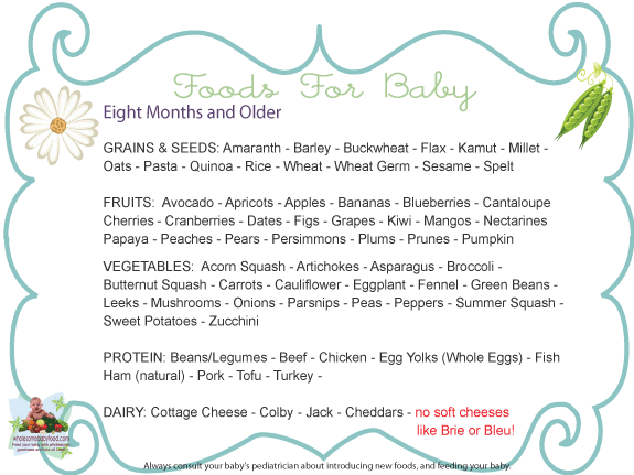 Introducing Solids to Your 8 month to 10 month old Baby, Solid Food ...